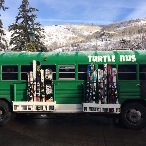 Our Fleet | The Turtle Bus